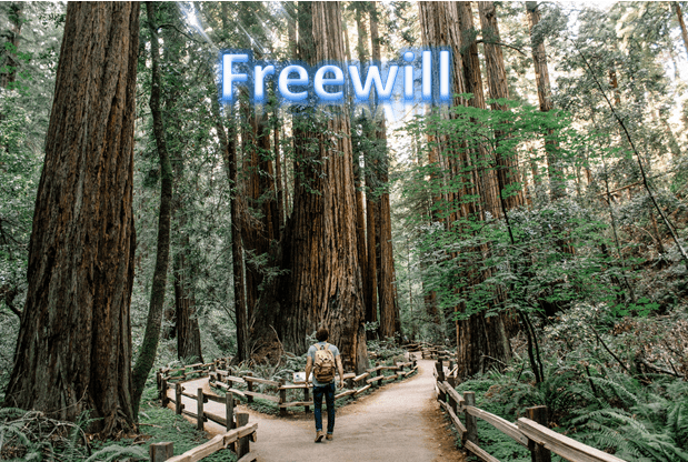 Freewill – Drink of Jesus